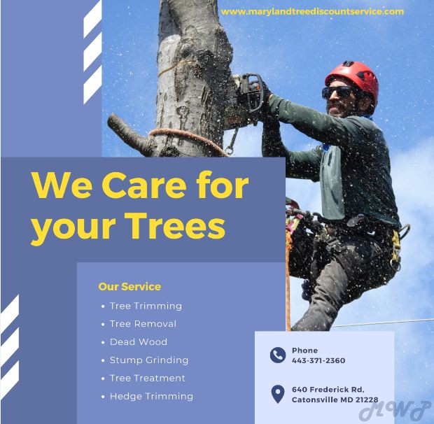 MARYLAND TREE DISCOUNT SERVICE (marylandtreedi) - My Willys Pics (Français)